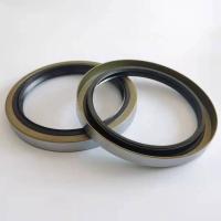 China EU DKB GA Dli Dust Seal Oil Seal Hydraulic Rubber Oil Seals for sale