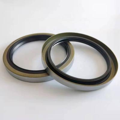 China EU DKB GA Dli Dust Seal Oil Seal Hydraulic Rubber Oil Seals for sale