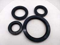 China TCN TCV High Pressure Rubber Oil Seal from Factory for sale