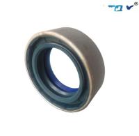 China Oil seal  COMBI SF5 NBR Tractor Parts Oil Seal for sale