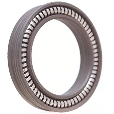 China PTFE/PEEK Spring energizedOil Seal Ring/gate valve seal for sale