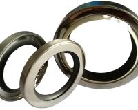 China Double Lips Oil Seals Screw Compressor Rotary Shaft Seal Factory Supply PTFE Stainless Steel 316 DL SEALS Standard for sale