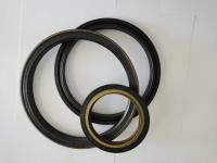 China 12017293B 85*110*13/14.5 RWDR KASSETTED Tractor Oil Seal for sale