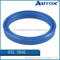 China hydraulic seal of USH,UPH,USI,UPI,ODI,IDI,OSI,ISI,SPG,LBH,LBI for sale