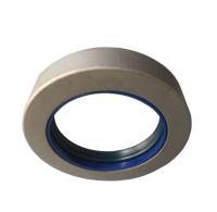China Wear Resistance Truck Oil Seal SF6 65*92*14 NBR FKM Rubber Oil Seal For Tractor for sale