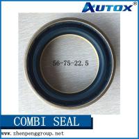 China High Temp Resistance Truck Oil Seal For Tractor Drive Axle Part No 0734 309 763 for sale