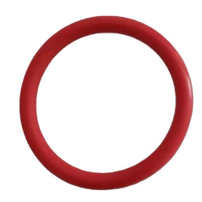 China FKM, HNBR, or FFKM Anti-Explosive Decompression O-Ring for sale