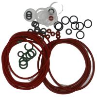 China Free Sample High Quality FKM EPDM NBR Silicon O-Ring Seal for sale