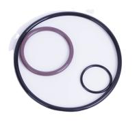 China rich stock full sizes AS standard custioized  nbr fkm  oil seal o ring for sale