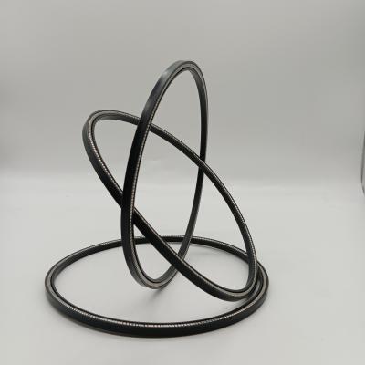 China Spring seal PTFE seal with spring good quality for sale