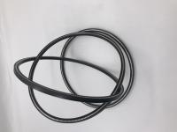 China Spring seal PTFE seal with spring good quality for sale