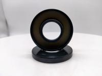 China Skeleton oil seal metal rubber high temperature TCV/TCN oil seal for sale