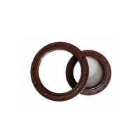 China Big size NBR/FKM material TC oil seals from factory for sale