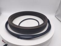 China Stainless Steel Rear Wheel Oil Seal STR Overall Three Seals 190*220*30 WG9981340113 for sale