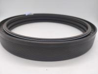 China Stainless Steel Rear Wheel Oil Seal STR Overall Three Seals 190*220*30 WG9981340113 for sale