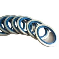 China Factory Price Stock Dowty Seals M6 M10 M12 M16 M18 M20 M22 M24 M27 M30 NBR Rubber Bonded Seal Washer for sale
