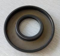 China 24.61*53.98*7mm TCV OIL SEAL High Pressure Skeleton Seals for sale