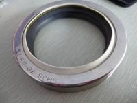 China Rubber PTFE Stainless Steel Oil Seal Single Double Lip Screw Compressor Oil Seal for sale