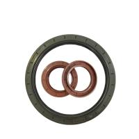 China Pneumatic Dust-proof Seal  Hydraulic Piston Cylinder SC Oil  High Temperature Resistance TC Nitrile Fluorine Rubber Skelet for sale