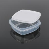 China Frozen 250ml Square Household Small Capacity Food Crisper Container Box for sale