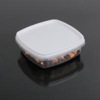 China Frozen 250ml Square Household Small Capacity Food Crisper Container Box for sale