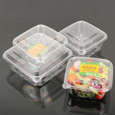 China Disposable Plastic Salad Sweetmeat Preserved Fruit Packaging With Lid for sale