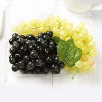 China PET Colorful Disposable Plastic 25*18*2.5cm Fruit Packing Tray for sale