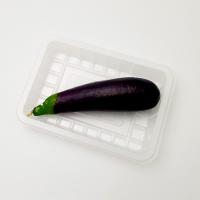 China OEM Polypropylene 20*14*5.5cm Disposable Fruit Tray for sale