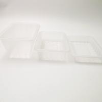 China OEM Polypropylene 20*14*5.5cm Disposable Fruit Tray for sale