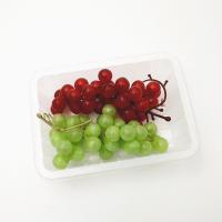 China OEM Polypropylene 20*14*5.5cm Disposable Fruit Tray for sale