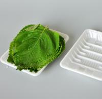 China White PP 18*13*2.5cm Disposable Vegetable Trays for sale