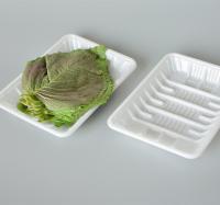 China White PP 18*13*2.5cm Disposable Vegetable Trays for sale
