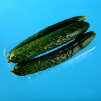 China Supermarket 24*12*2.5cm Disposable Vegetable Trays for sale
