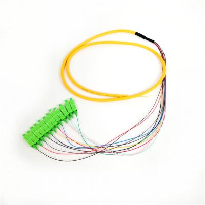 China 12 Core SM Fiber Optic Pigtail 1m SC/APC LSZH 0.9mm Duplex Fan Out Patch Cord for sale