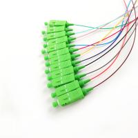 China 12 Core SM Fiber Optic Pigtail 1m SC/APC LSZH 0.9mm Duplex Fan Out Patch Cord for sale