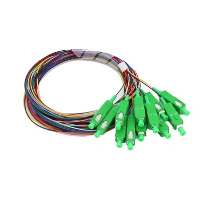 China 12 Cores Fiber Pigtail Sc for sale
