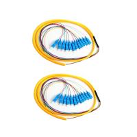 China 12 Cores LSZH 0.9mm SC UPC Low PDL Fiber Optic Pigtail for sale