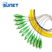 China Singlemode Simplex PVC Sc / Apc Fiber Optic Pigtail G652D Type 12 Cores for sale