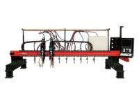 China CNC6-4000 Multi-Head Vertical Strip Plasma Cutting Machine with 4000mm Gauge and 6-150mm Thickness Capacity for sale