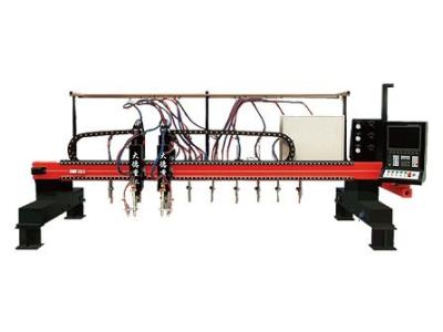 China CNC6-4000 Multi-Head Vertical Strip Plasma Cutting Machine with 4000mm Gauge and 6-150mm Thickness Capacity for sale