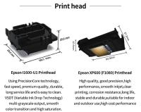 China UV DTF Printer All-in-One Machine 30 cm Sticker Label Printer 2025 New Trend for sale