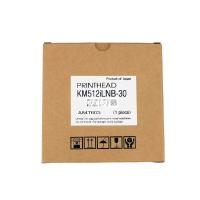 China High-Quality Print Head 512i-30PL for DTF Printers 30PL Nozzle for sale