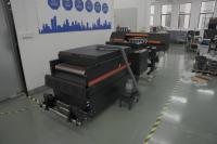 China 60cm Automatic DTF Printer with I3200 Print Heads 2 or 4 Heads for T-Shirt Printing for sale