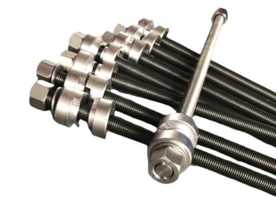 China Stainless Steel Tightening Bolts and Nuts for PHE Frames 25 bar 200°C for sale