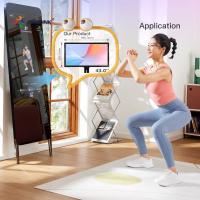 China 43 Inch PCAP G+G Capacitive Touch Panel 10 Points for Fitness Mirror EETI ILITEK for sale