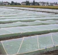 China Plastic bird-proof net PE enlarged thickened greenhouse agricultural breeding net vineyard insect-proof net for sale