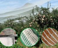 China Good Bird Insect Protection Net Hail Proof Net White Anti Bee Net for Tree Crop Protection for sale