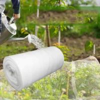 China Green Customized Bug Insect Protection Crop Net For Fruit Trees Vegetable Gardens House Factory for sale