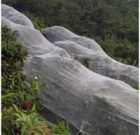China 100% PE White Transparent Color Greenhouse Anti Insect Net For Plant And Grape for sale