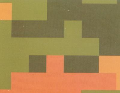 China Camouflage color prepainted Steel Coil for sale